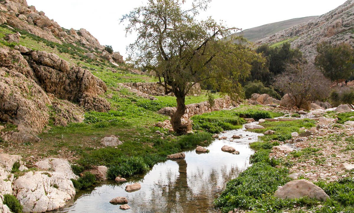 3 Steps to Finding Contentment in Your Life with God