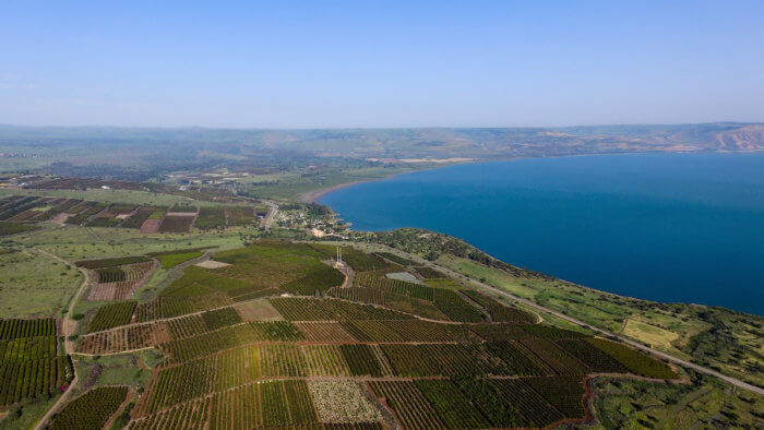 How to Live the Impossible Christian Life with Success