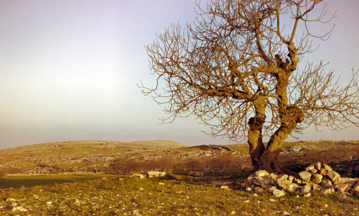 Bethel—Finding the Only Gateway to God's House